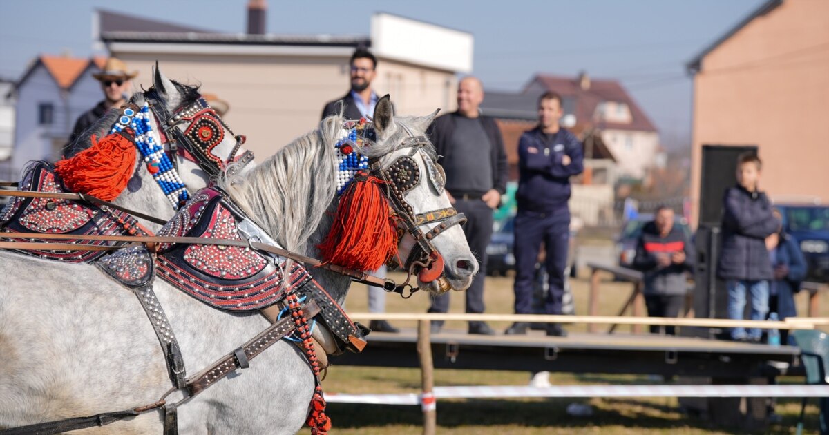 Garë me kuaj për nder të përvjetorit të pavarësisë