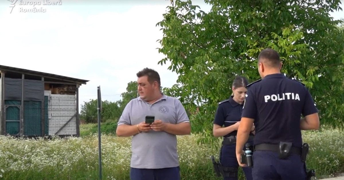 Inginerul silvic care apare în reportajul „Drumul Lemnului”, arestat ...