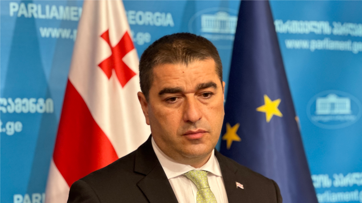 შალვა პაპუაშვილი „საქართველო ლიდერია ევროკავშირის წევრობის კანდიდატებს