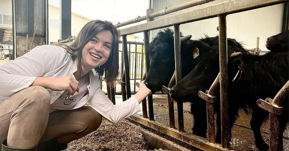 Peste 30% din medicii veterinari lucrează în Chișinău. „La coada vacii ...