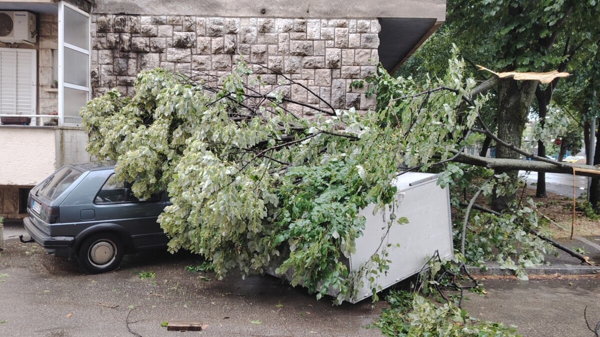 Nevrijeme u Trebinju, jak vjetar lomio drveće