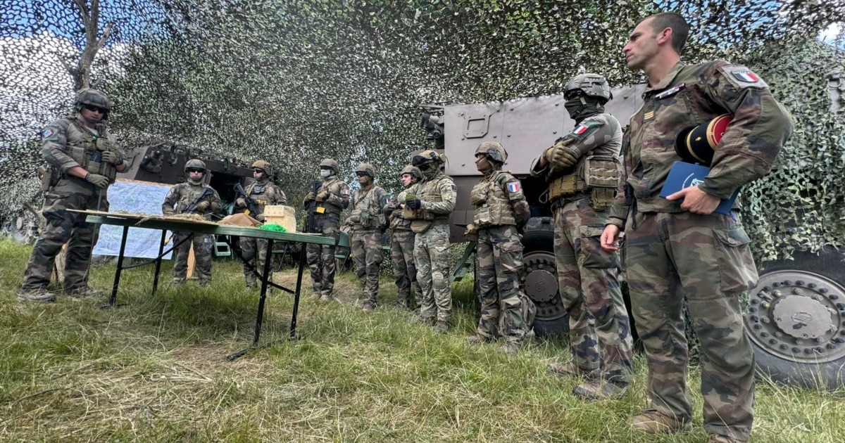 MApN cere ca militarii români și străini să poată folosi muniția și pe timp de pace, dacă ...