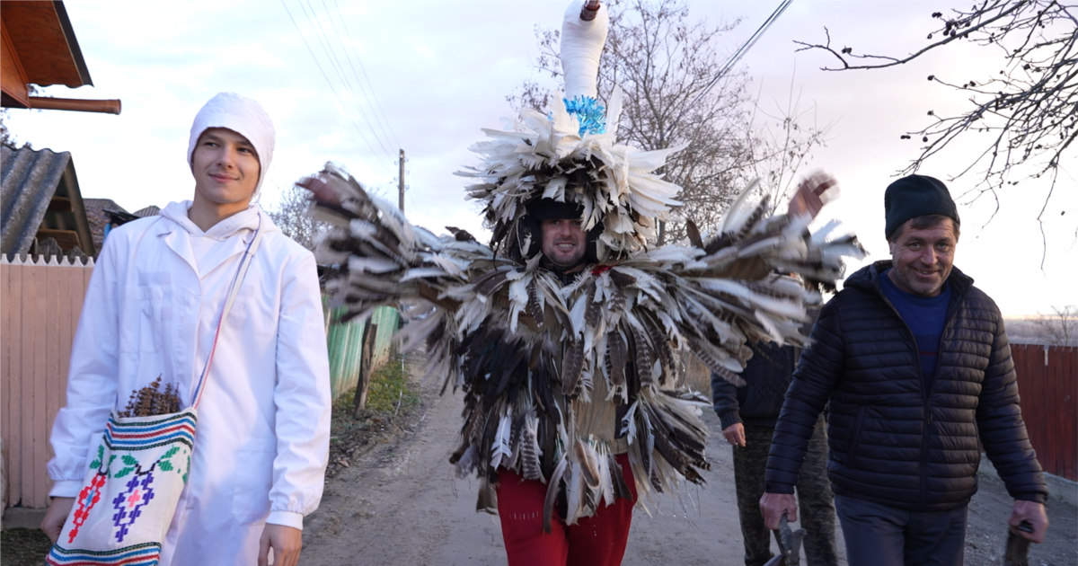 Pe agendă | Cete de urători și un cocostârc la Măcărești și ce vor ...