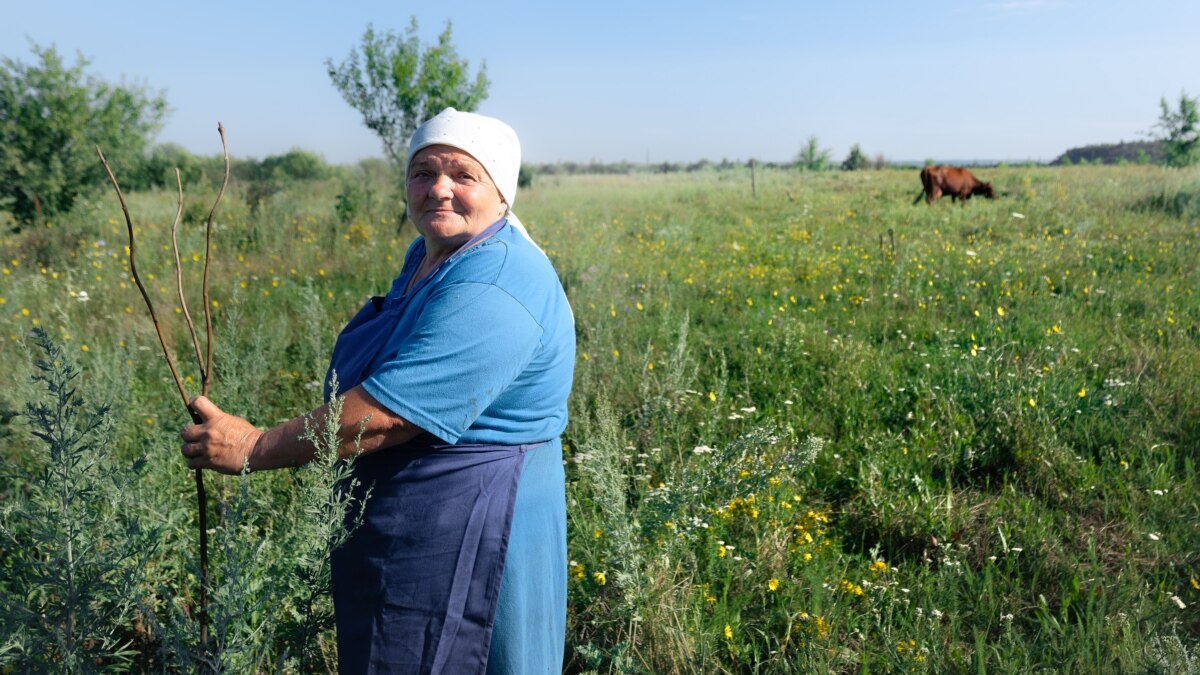 Supraviețuind în Avdiivka: roadele pământului și ajutorul celorlalți