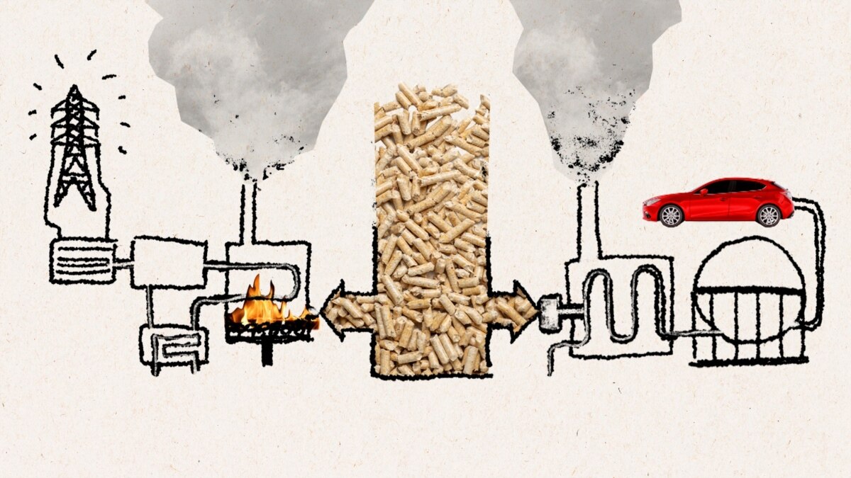 Egyszerűen: Mennyire környezetbarát valójában a biomassza?