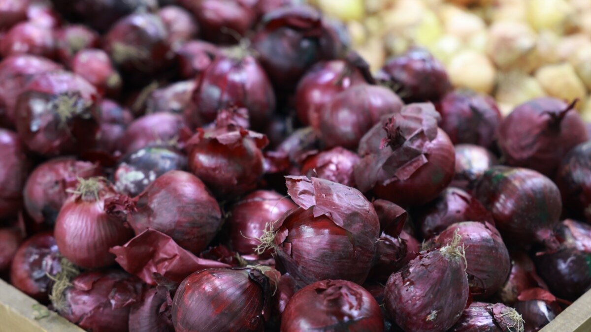 Qepa “djeg” edhe kuletën