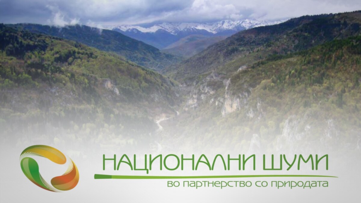 Вработените во „Национални шуми“ без плати ама со нови возила