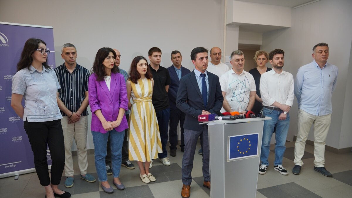 Грузинские НПО подают еще один конституционный иск против закона об