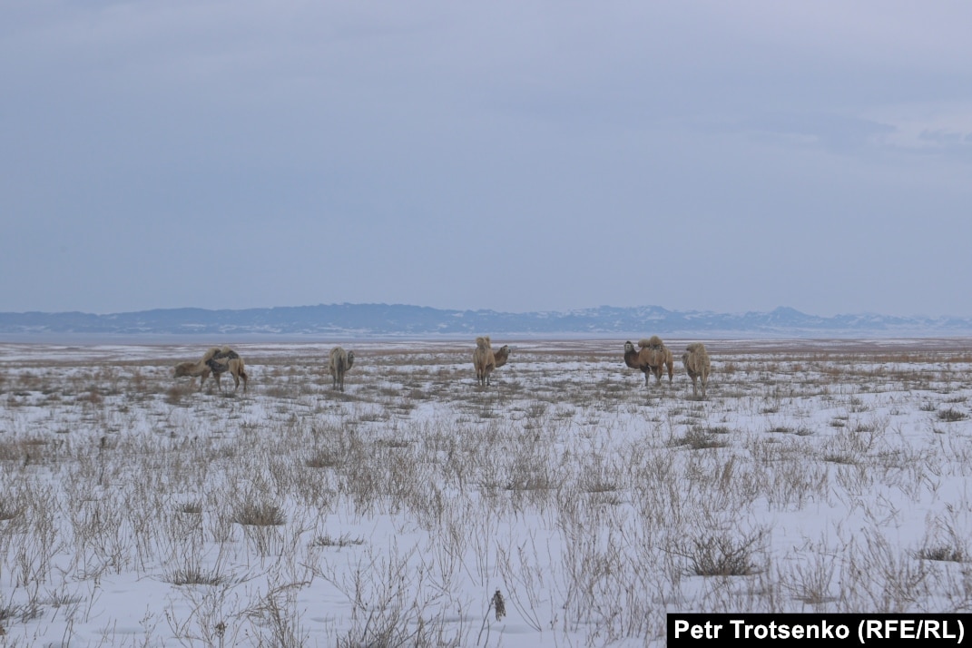 Kazakh Steppe