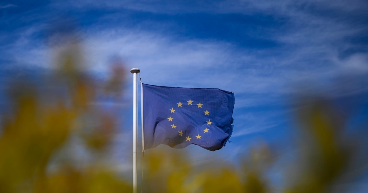 ԵՄ 26 երկիր զսպվածության և Վենեսուելայի շուրջ նոր ճգնաժամից խուսափելու ...