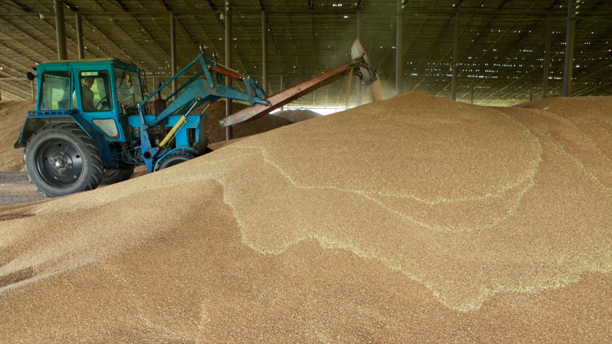 Russia-Africa Summit To Discuss Moscow's Grain, Fertilizer Exports