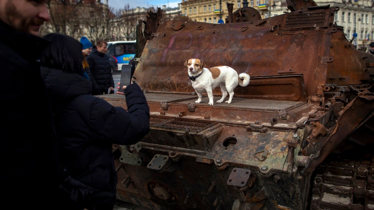 Tensions High As Russians Place Flowers On Burned-Out Tanks On Display ...