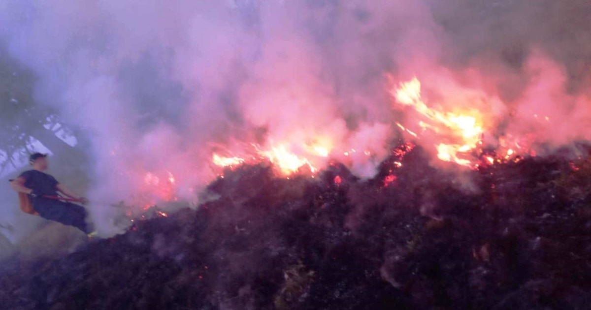 Lokalizohen zjarret në Parkun Kombëtar të Sharrit