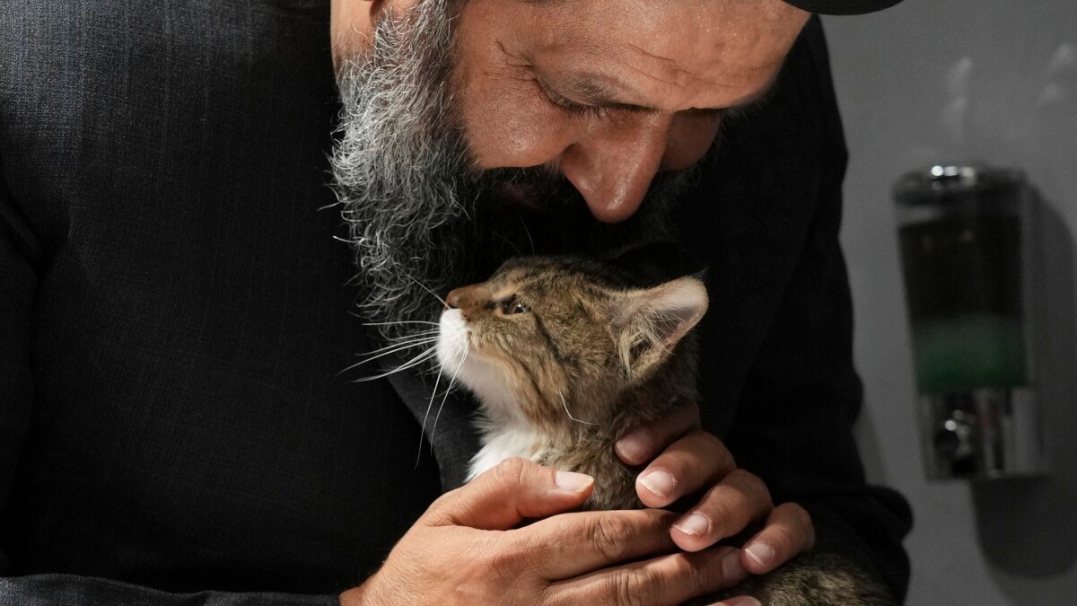 Defying Taboos: Beloved Iranian Cleric Rescues Animals