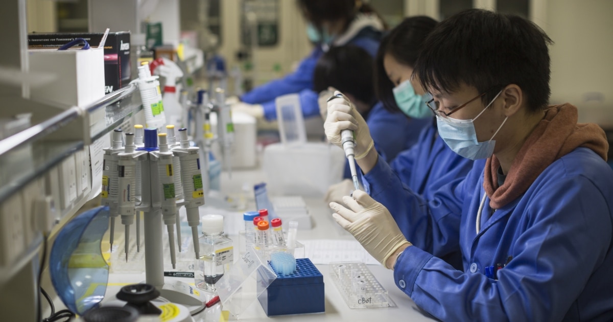 Under Investigation Abroad, Chinese Gene Giant Expands In Serbia