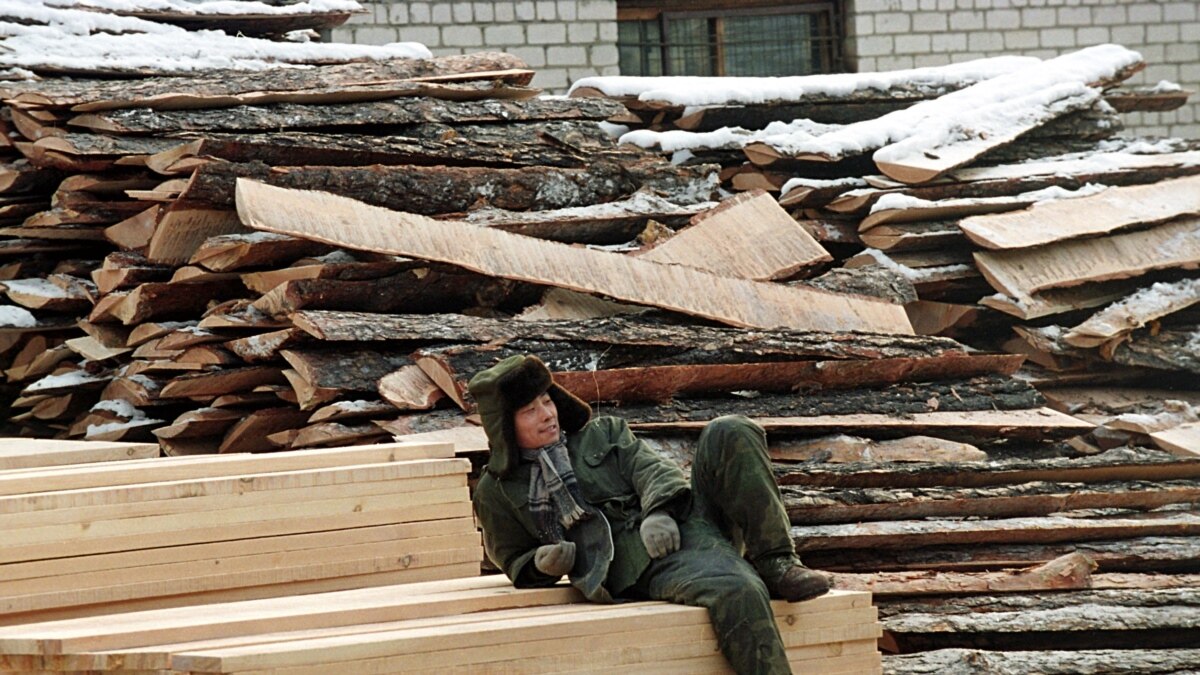 Russian Official Defends Crackdown On Migrant Workers