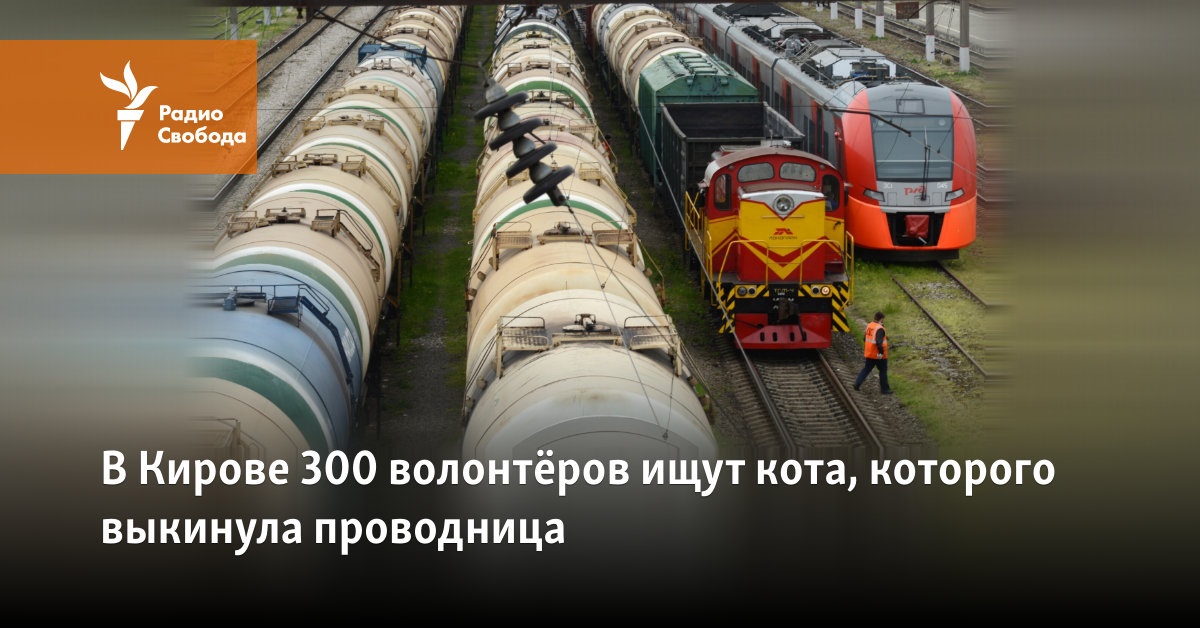 В Кирове 300 волонтёров ищут кота, которого выкинула проводница