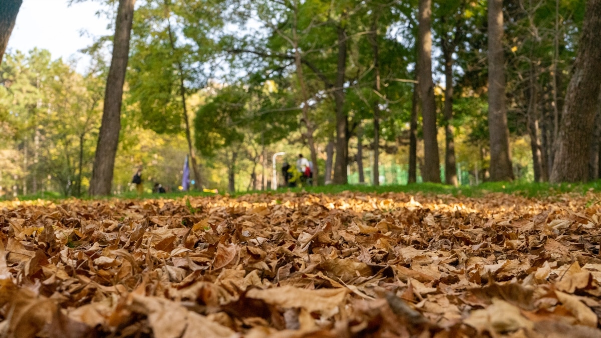 Ngjyra vjeshte në Prishtinë