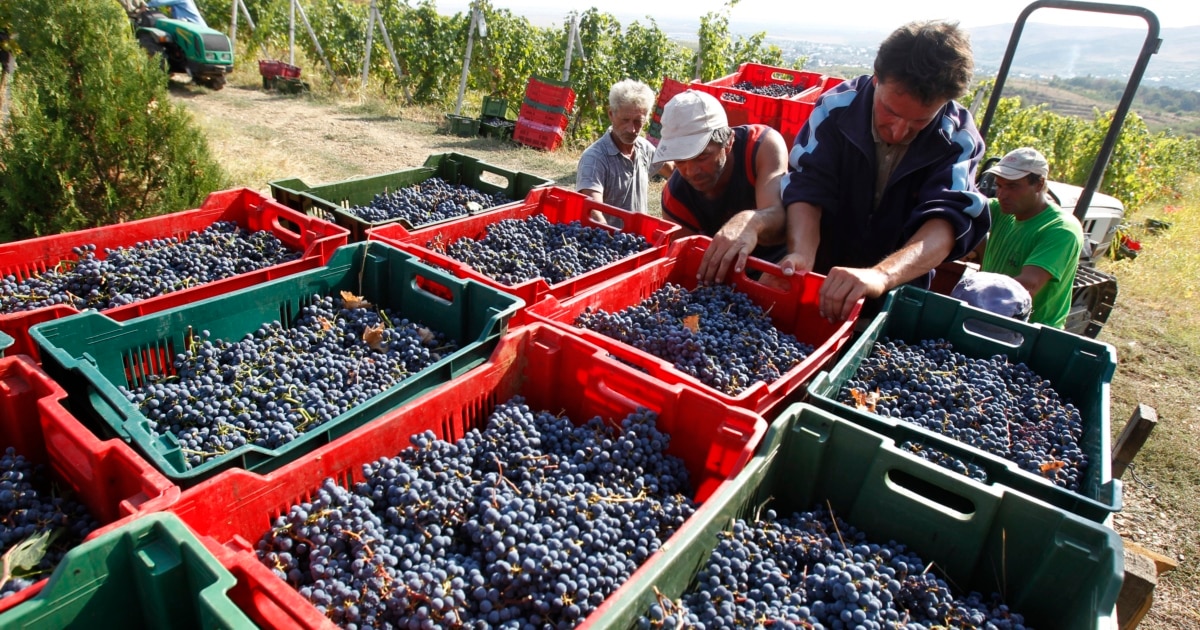 De unde vin discursurile PSD și AUR despre „sclavii” sau „iobagii ...