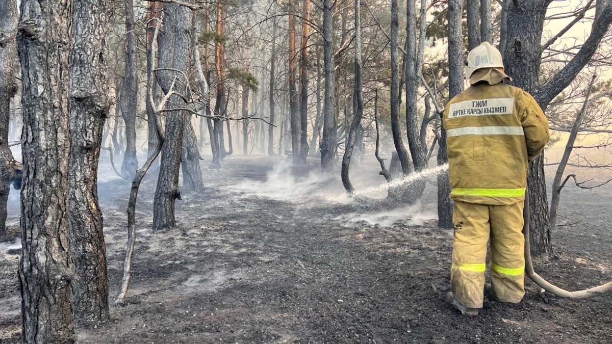 Firefighters Continue To Battle North Kazakhstan Forest Fire