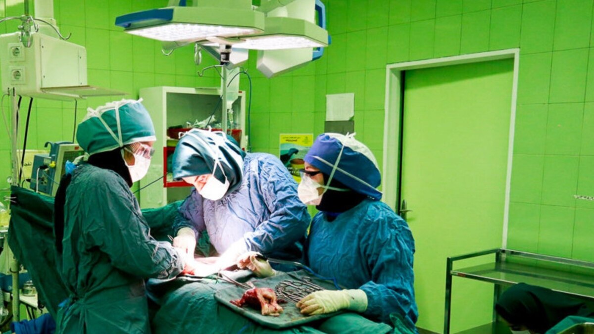 Iran Faces 'Serious Shortage' Of Doctors Due To Emigration