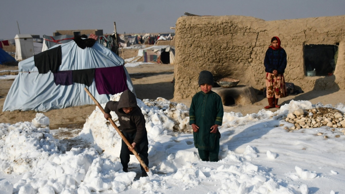'The Coldest In Recent Years': Dozens Killed By Cold Snap In Afghanistan