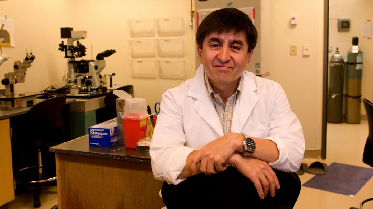 U.S. Scientists Claim Breakthrough In Cloning Human Stem Cells