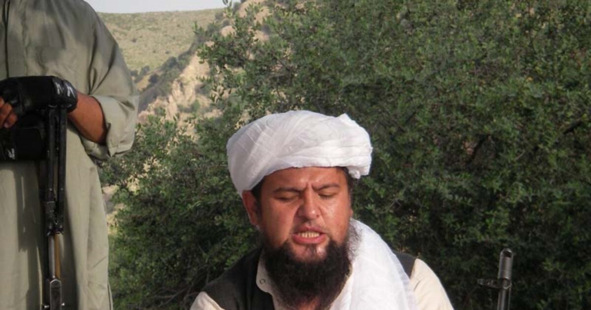 Sources Claim IMU Militant Leader Yuldash Killed