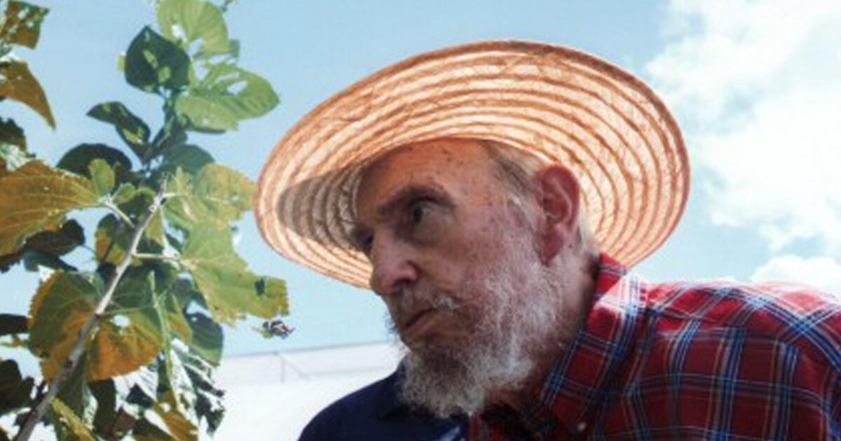 Fidel Castro Appears Publicly For First Time In Months