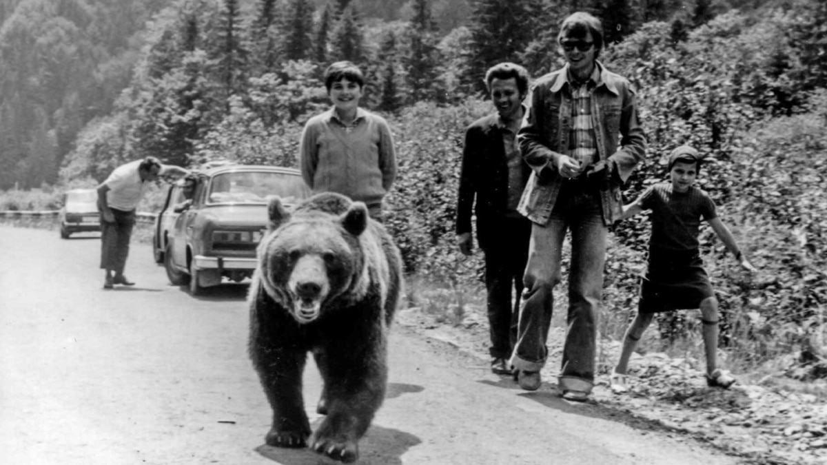 Fotogalerie | Un secol de România