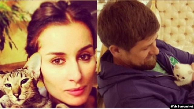 Cat Fight! Kadyrov Takes On Moscow Socialite In Feline Beauty Contest