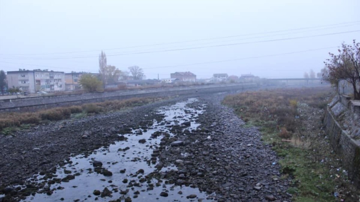 Жители на Кричим сезираха прокуратурата за мъртва риба в коритото на ...