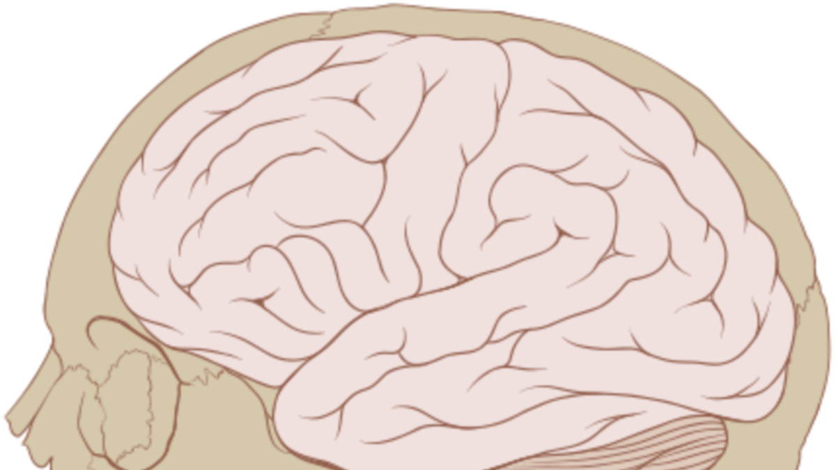 Zašto gubimo razum?