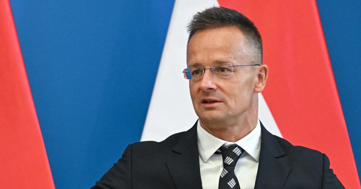 Сійярто заявив що Угорщина виступатиме проти членства України в ЄС незалежно від позиції Росії