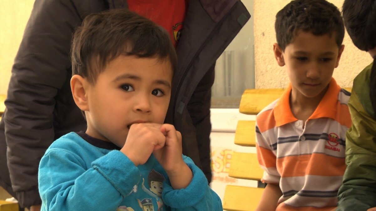 Skot: Srpska deca su junaci integracije malih migranata