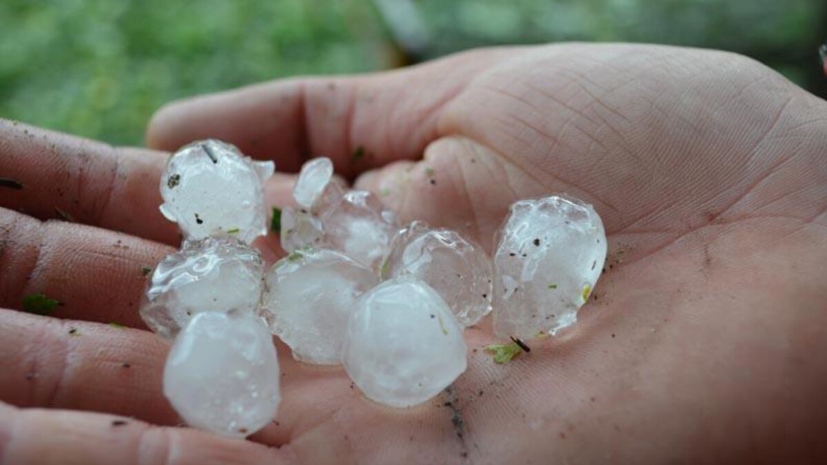 Georgia Storm Victims Receive Flood Of Attention In Campaign Season