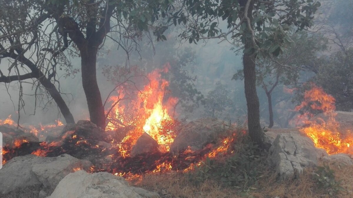 Local Officials In Iran Unable To Stop Wildfires, Call For Help