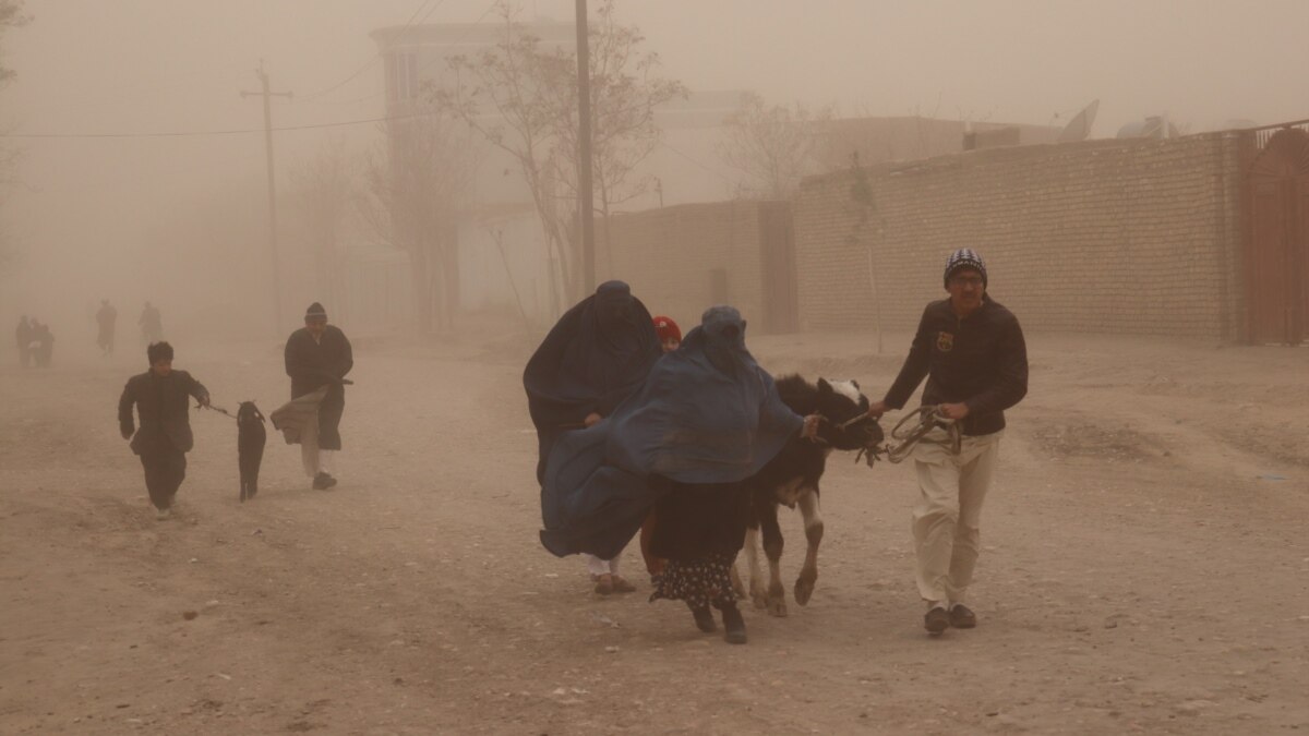 Taliban Accused Of Forcibly Evicting Ethnic Uzbeks, Turkmen In Northern ...