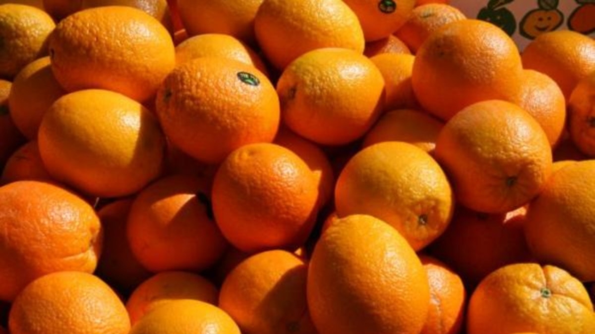 OK, Who Brought The Israeli Oranges Into Iran?