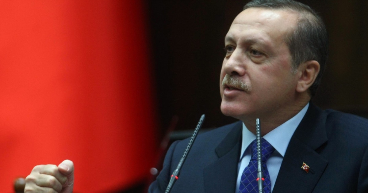 Turkey's Erdogan Dismisses WikiLeaks Cancer Report