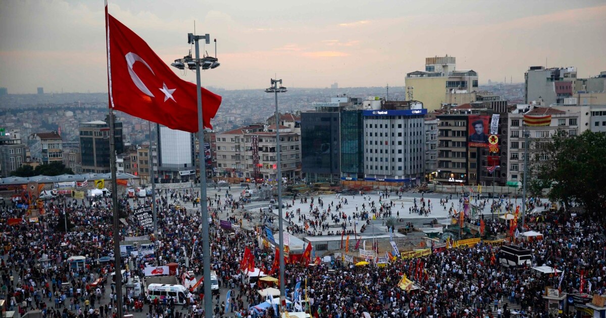 Turkish Protesters Turn Erdogan Insult To Their Favor