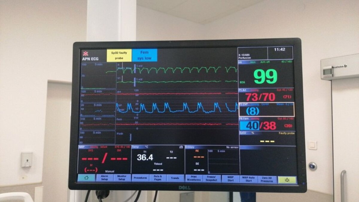 Дарување срцевина - шанса за спас на животи