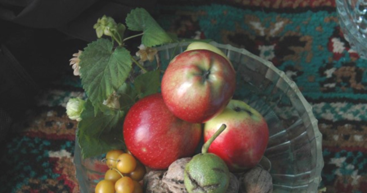 Central Asian Fruit, Nut Trees Of Global Importance Under Threat