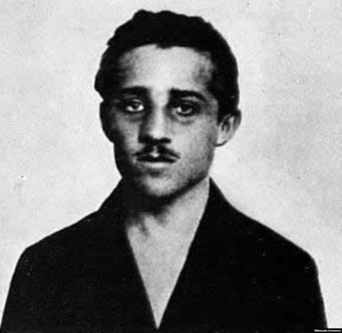 Gavrilo Princip - heroj ili terorista