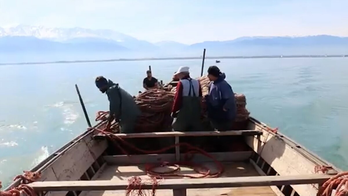 What’s Behind The Mystery Of Iran's Fishing Boom? (Video)