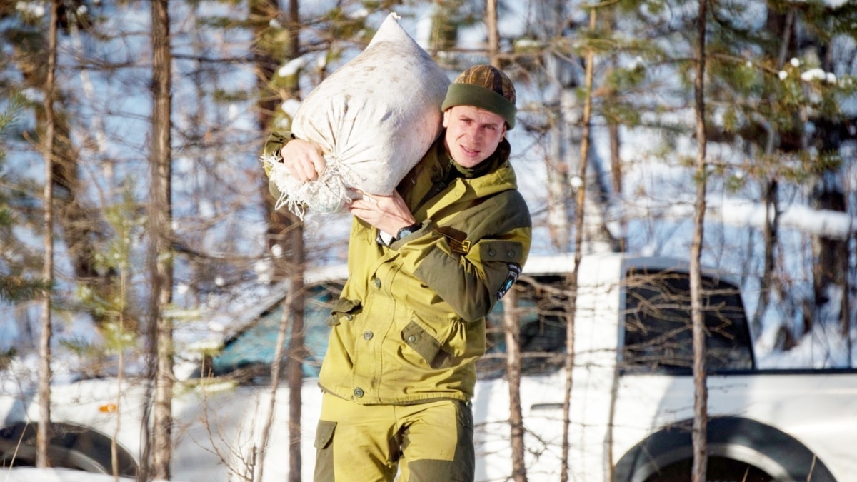'Russia's Forests Are Defenseless': Charges Against Ranger Highlight ...