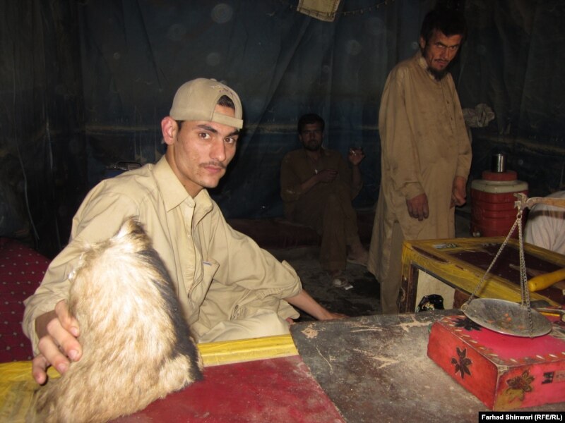 Pakistan’s Goat-Grown Hashish | zs blog