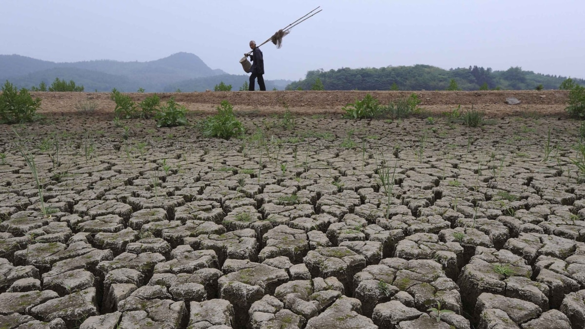 On World Water Day, U.S. Report Offers Bleak Predictions