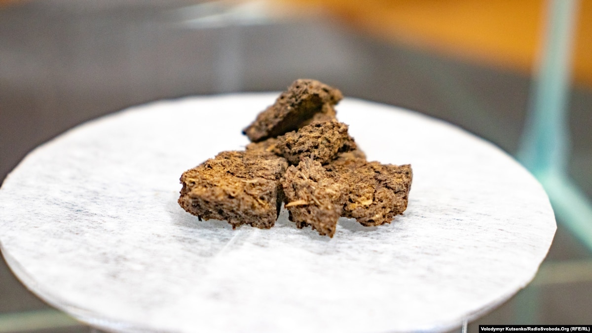 Kyiv Archivist Discovers Ersatz Bread Samples From Ukraine's 1932-33 Famine