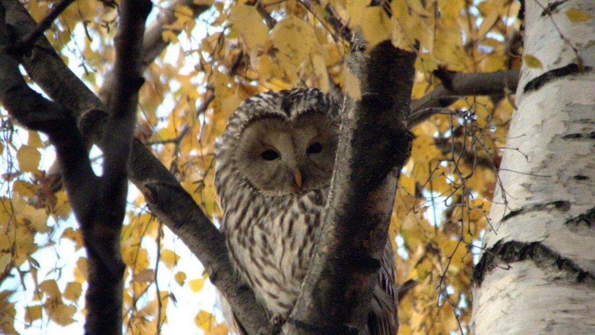 Фотографии Дмитрия Ерохина